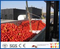 China Low Temperature Evaporation Tomato Processing Line 2-50T/H Turn Key Project for sale