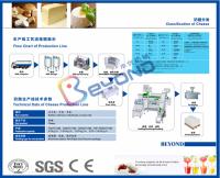 China 200 - 50000LPD Turn Key Project Cheese Making Equipment with Plastic Bottle Package for sale