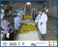 China Complete Turnkey Mango Fruit Juice Processing Line 5-50TPH Energy Saving for sale