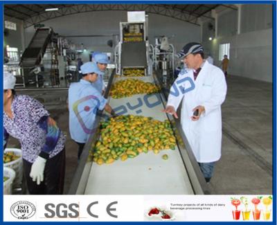 China Complete Turnkey Mango Fruit Juice Processing Line 5-50TPH Energy Saving for sale