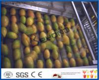 China Complete Turnkey Mango Fruit Juice Processing Line 5-50TPH Energy Saving for sale