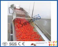 China Stainless Steel Tomato Paste Processing Plant For Tomato Sauce Production Process for sale