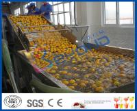 China Industrial Fruit Vegetable Bubble Washing Machine 3000mm Step-less Speed Adjustable SUS304 for sale