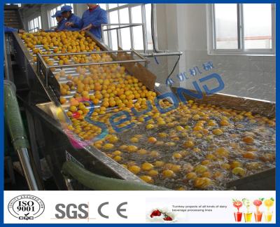 China Industrial Fruit Vegetable Bubble Washing Machine 3000mm Step-less Speed Adjustable SUS304 for sale