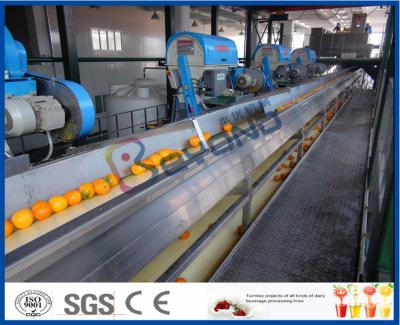 China Full Automatic Energy Saving Orange Processing Line 2-50T/H Turn Key Project for sale