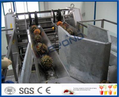 China High Efficient Pineapple Processing Line 60-1500TPD with Cutting Machine for sale