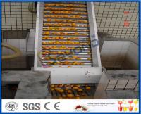 China Energy Saving Orange Processing Line with Glass / PET Bottle Filling Machine for sale