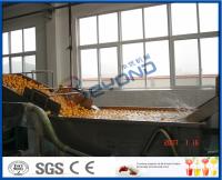 China Energy Saving Orange Processing Line with Glass / PET Bottle Filling Machine for sale