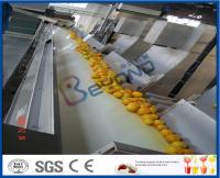China Orange Juice Processing Plant 2-50T/H Juice Extraction Equipment ISO9001 CE for sale