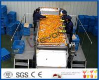 China Orange Juice Processing Plant 2-50T/H Juice Extraction Equipment ISO9001 CE for sale