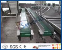 China Conveyor Belt Type Fruit Processing Equipment With Stainless Steel Material for sale