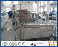 China Industrial Surfing Fruit Vegetable Washer Machine 3000mm SUS304 2.2kw Bubble Cleaning for sale