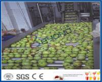 China Fruit Vegetable Sorting Machine Roller Type Sorter 2-20 T/H Capacity CE ISO9001 for sale