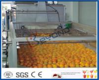 China SUS304 Stainless Steel Fruit Vegetable Brush Roller Washing Machine 1.1-5.5kw for sale