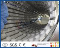 China Fruit Juice Processing Fruit Washing Equipment , Fruit And Vegetable Purifier for sale