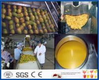 China Mango Pulp Processing Machinery Mango Processing Line 60-1500 Tons Per Day Aseptic Package for sale