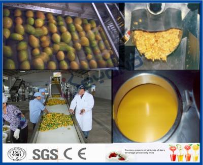 China Mango Pulp Processing Machinery Mango Processing Line 60-1500 Tons Per Day Aseptic Package for sale