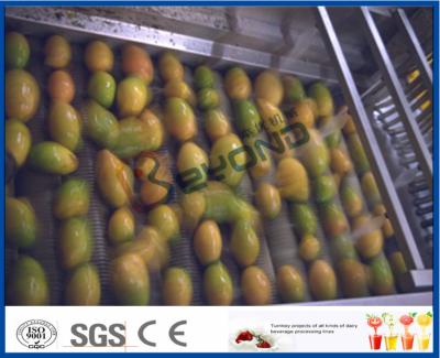 China Mango Juice Processing Plant 5-50T/H Fruit Pulp Production Line with PLC Control for sale