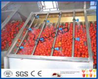 China Tomato Processing Line 2-50T/H High Yield 90% Juice for Tomato Paste Production for sale