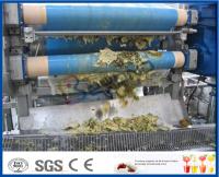 China Pineapple Juice Processing Line 5-50T/H Fresh Pineapple Juice Production Machine for sale