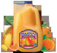 China Mango Juice Making Machine 20T/H Mango Processing Line PLC Control SUS304 for sale
