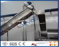 China Mango Processing Line 50T/H Fruit Processor Machine for Juice Plant for sale