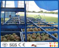 China 2TPH ~ 20TPH SUS304 Mango Processing Line With 2kg Cans Filling Machine for sale