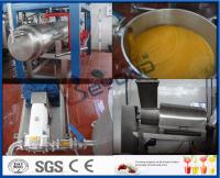 China 5 - 50 T/H Mango Processing Plant With Mango Pulp Machine ISO9001 / CE / SGS for sale