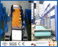 China Orange Juice Manufacturing Process Orange Processing Plant , Orange Juice Making Machine for sale