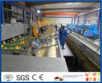 China Citrus Processing Line 20T/D to 2000T/D Orange Juice Plant with Fruit Processing Technology for sale