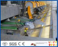 China Citrus Processing Line 20T/D to 2000T/D Orange Juice Plant with Fruit Processing Technology for sale