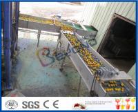 China Citrus Processing Line 20T/D to 2000T/D Orange Juice Plant with Fruit Processing Technology for sale