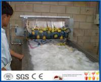 China Mango Pineapple Processing Line 60-1500 Tons/Day Fruit Juice Pulp Plant for sale