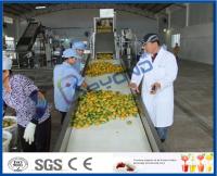 China Mango Pineapple Processing Line 60-1500 Tons/Day Fruit Juice Pulp Plant for sale