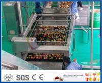 China Peach / Apricot / Plum Fruit Juice Production Line Fruit Processing Machinery for sale