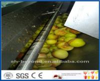 China Peach / Apricot / Plum Fruit Juice Production Line Fruit Processing Machinery for sale