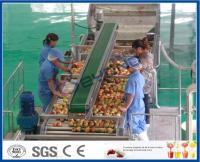 China Peach / Apricot / Plum Fruit Juice Production Line Fruit Processing Machinery for sale