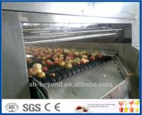 China Peach / Apricot / Plum Fruit Juice Production Line Fruit Processing Machinery for sale