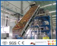 China Peach / Apricot / Plum Fruit Juice Production Line Fruit Processing Machinery for sale