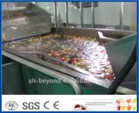 China Peach / Apricot / Plum Fruit Juice Production Line Fruit Processing Machinery for sale
