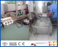 China Butter / Cheese Processing Plant Cheese Making Equipment , 20000L/D Mutifuntional Cheese Processing Equipment for sale
