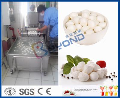China EC 10TPD Soft Cheese Making Equipment for Cheese Factory Dairy Processing Plant for sale