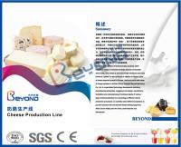 China Cheese Process Cheese Production Equipment With Mozzarella Cheese Making Machine for sale