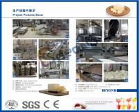 China Cheese Process Cheese Production Equipment With Mozzarella Cheese Making Machine for sale