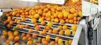 China Industrial Orange Juice Processing Machine 2-50T/H Energy Saving ISO CE for sale