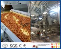 China Industrial Sea Buckthorn Juice Processing Line 2T-5T/h with Washing and Pulping System for sale