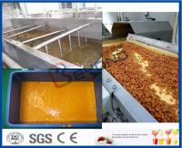 China Industrial Sea Buckthorn Juice Processing Line 2T-5T/h with Washing and Pulping System for sale