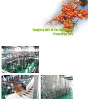 China Industrial Sea Buckthorn Juice Processing Line 20T/D to 2000T/D Capacity for sale