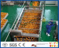 China Full Automatic Energy Saving Orange Processing Line 2-50T/H Turn Key Project for sale