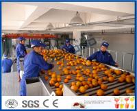 China Fruit Juice Processing Equipment With Citrus / Tangerines / Orange Juice Extractor Machine for sale